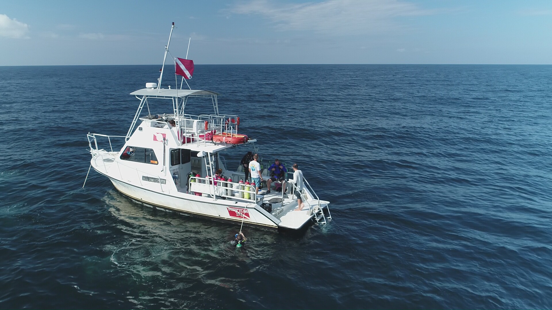 Steel Slinger Dive Charters Panama City Beach Florida