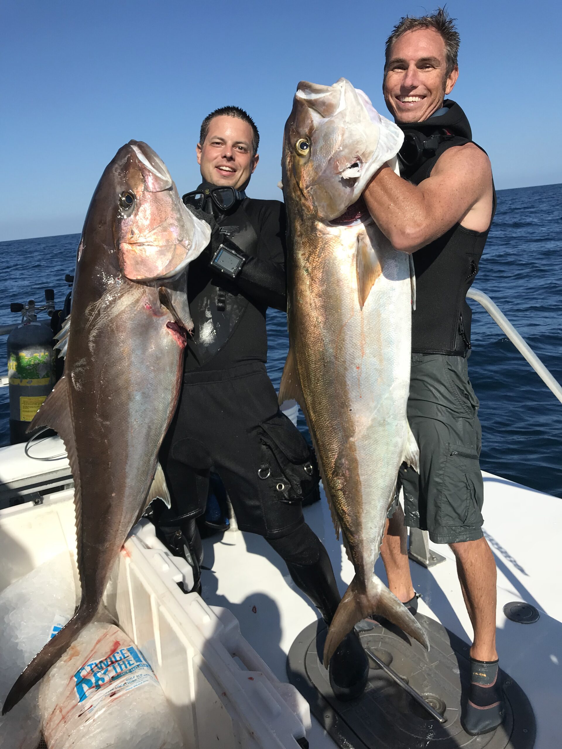 Spearfishing - Steel Slinger Dive Charters