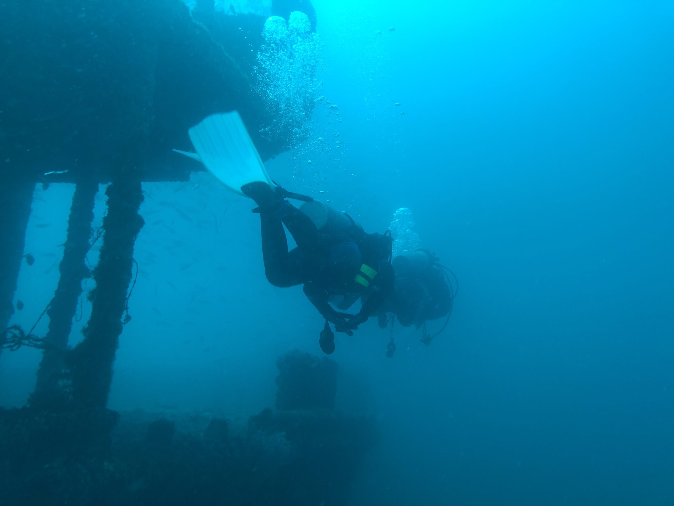 Steel Slinger Dive Charters Panama City Beach Florida