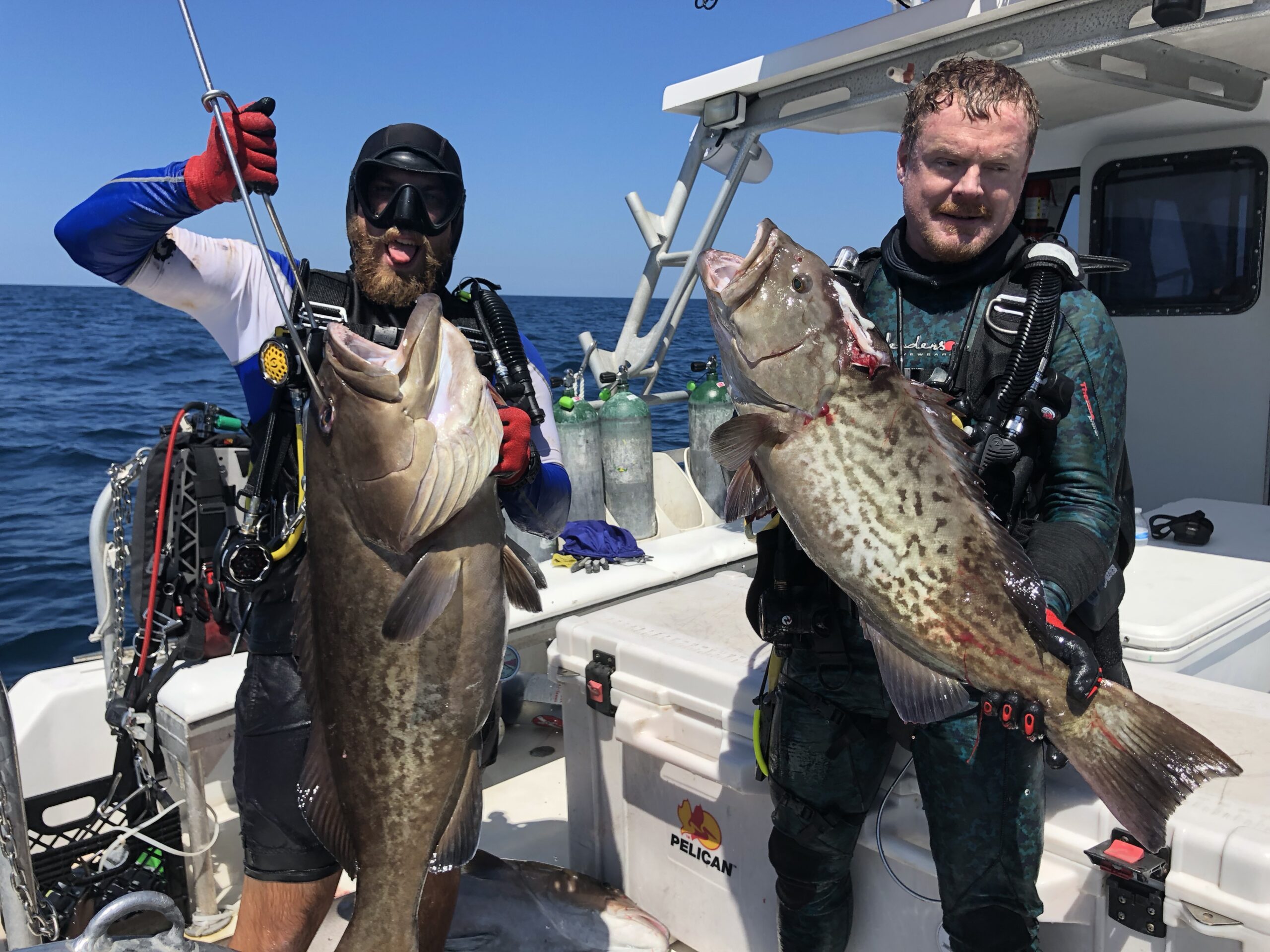 Spearfishing - Steel Slinger Dive Charters